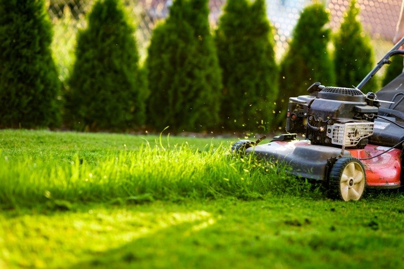 The Difference Professional Lawn Care Services Make in Overall ...